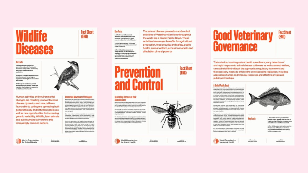 WOAH — Brand Identity for WOAH | Allie Heesh